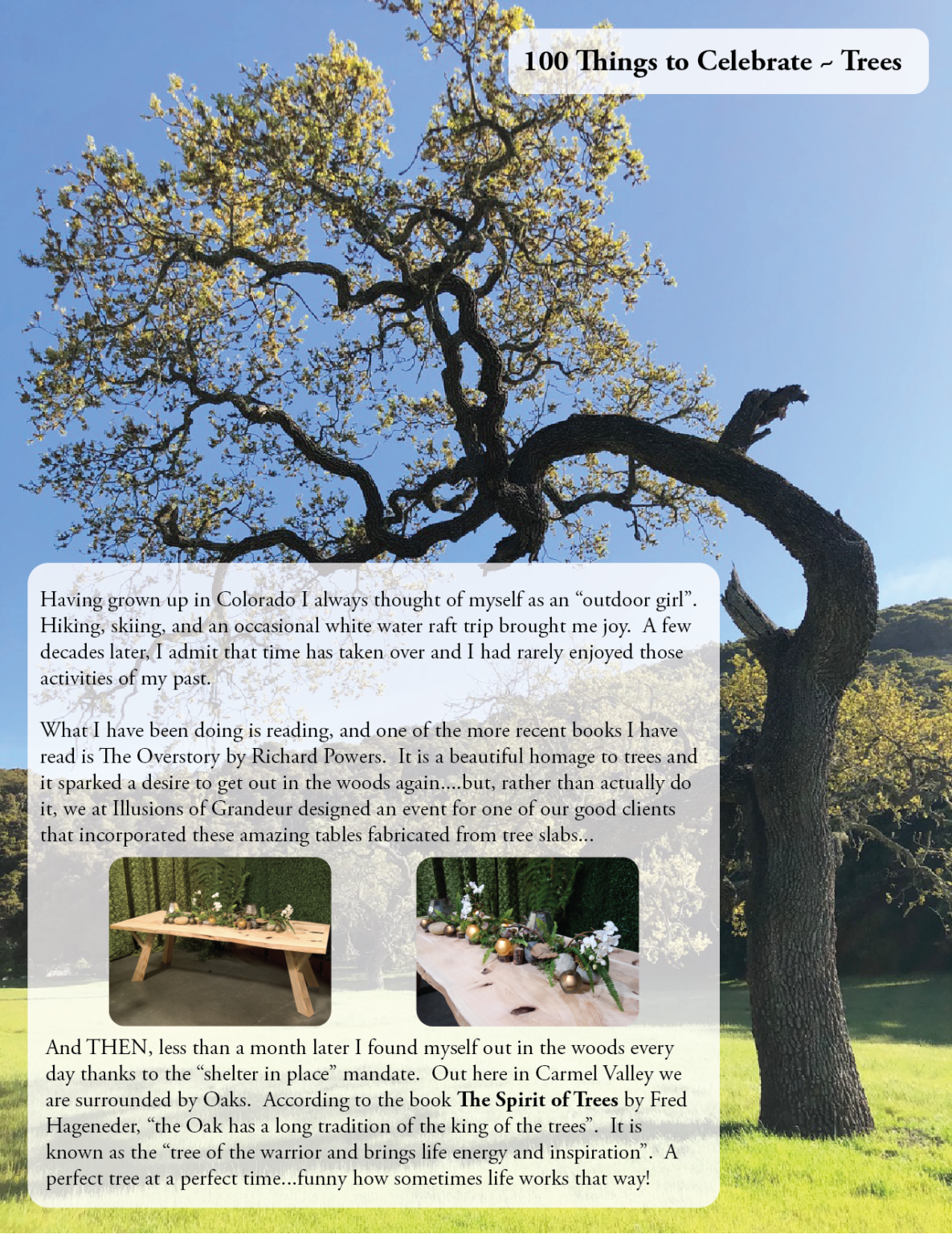 100 Things to Celebrate - Trees - Illusions of Grandeur II, Inc.